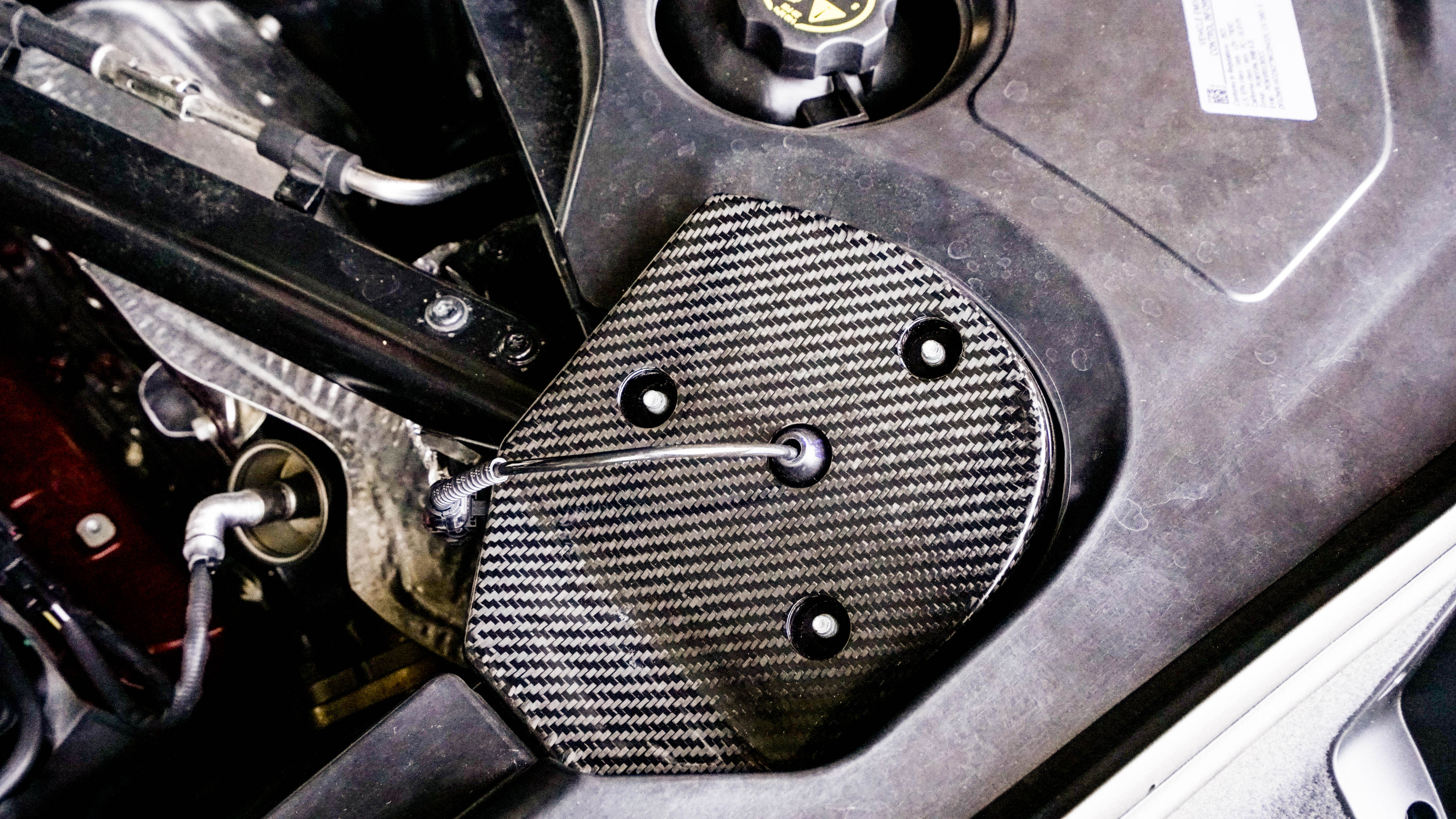 C8 Corvette Carbon Fiber LG560 Strut Tower Covers - EXCLUSIVE ...